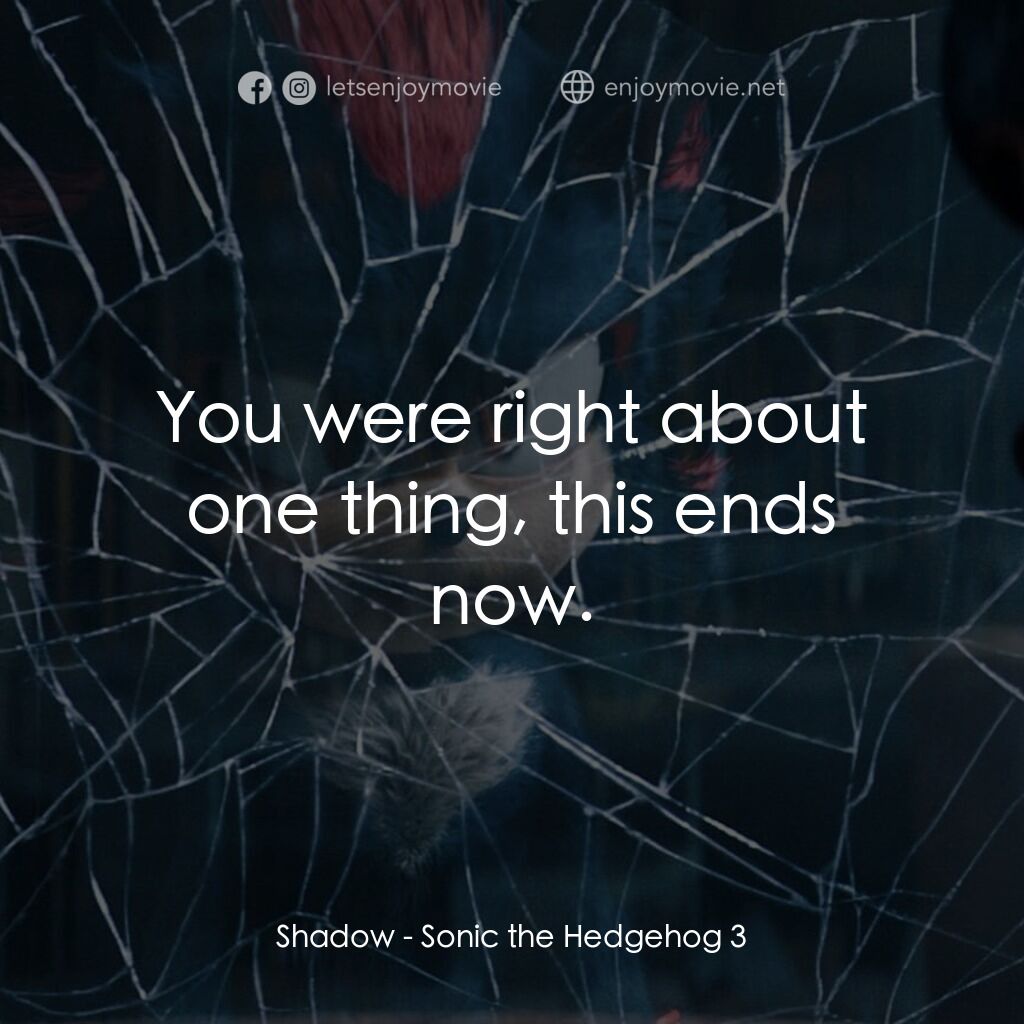 超音鼠大電影3/音速小子3電影金句 - Shadow: You were right about one thing, this ends ...